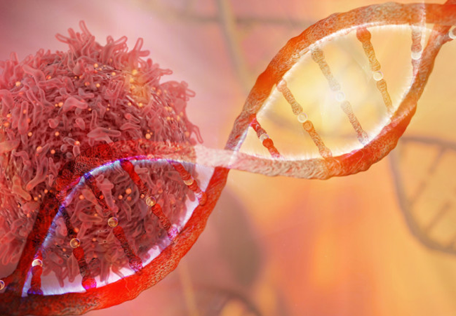 Curcumin as an Anti-Cancer Compound – Med-biologicals